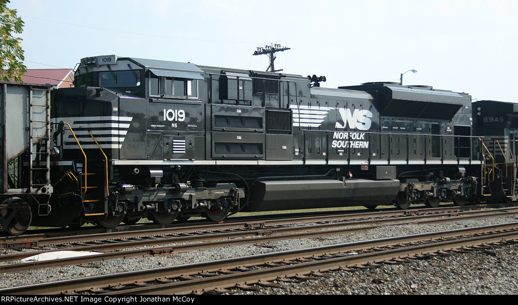 NS 1019